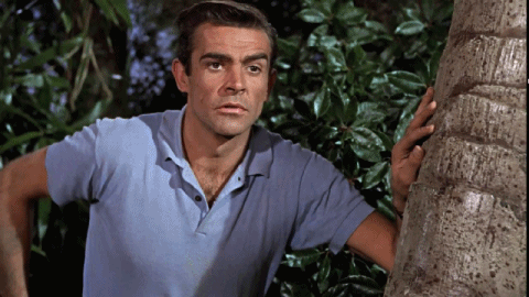 Robert shaw GIF on GIFER - by Dawnrunner