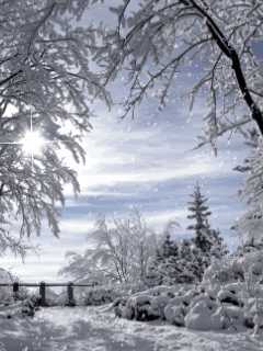 Winter GIF on GIFER - by Molune