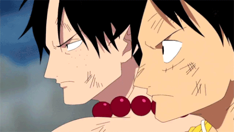 Ace GIF on GIFER - by Dizshura