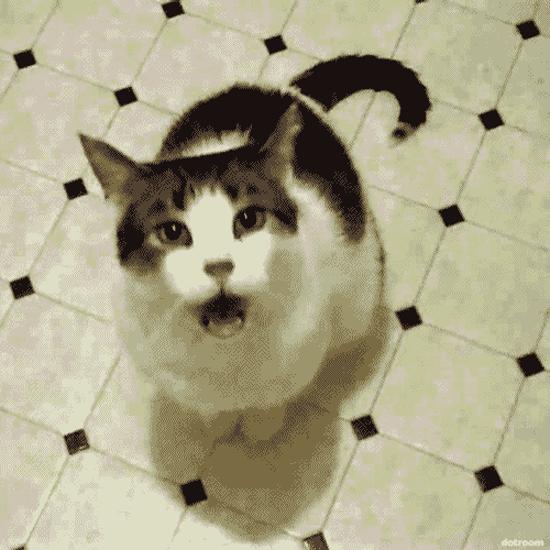 Gif Gritandole A La Computadora