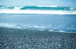 Beach california photography GIF on GIFER - by Rainbeard