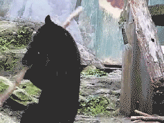 Has anyone ever really fought with a Bo staff (Japanese quarterstaff ...