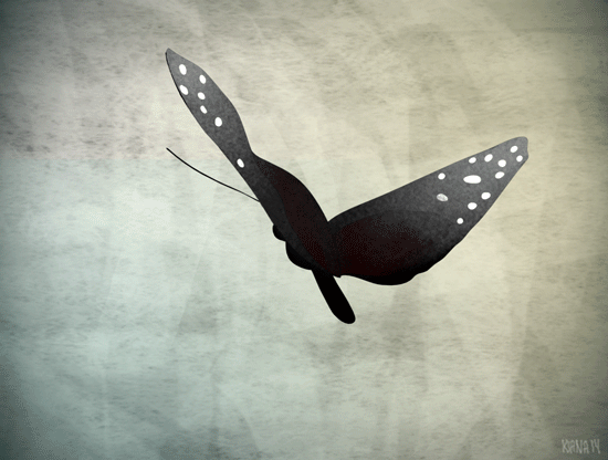 GIF butterfly butterflies walk cycle - animated GIF on GIFER - by Akikus