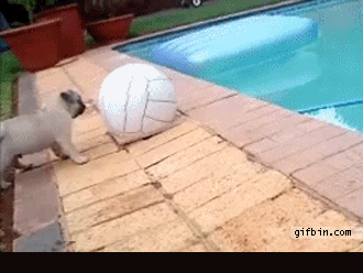 Half GIF on GIFER - by Purebourne