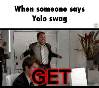 Yolo GIF on GIFER - by Disida