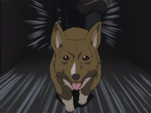 Elastic Collision Animation