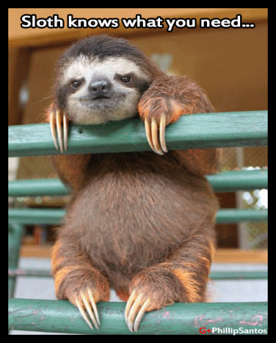 Sloth GIF on GIFER - by Hellbourne