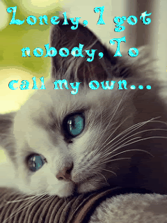 Lonely GIF on GIFER - by Pureshaper