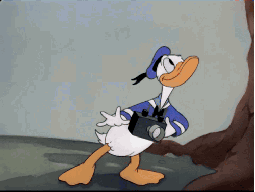 Donald Duck Walking Gif