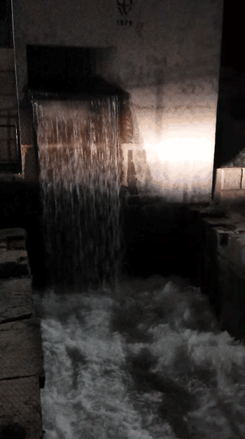 Gif Mit Dem Mittelfinger Mittelfinger GIFs | Tenor