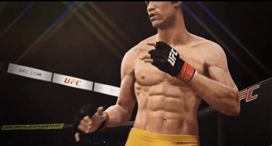 Ufc bruce lee sports GIF on GIFER - by Flameweaver