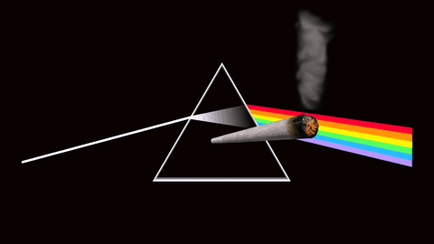 Dark moon side GIF on GIFER - by Chillfire