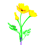 Michael cera GIF on GIFER - by Drelann