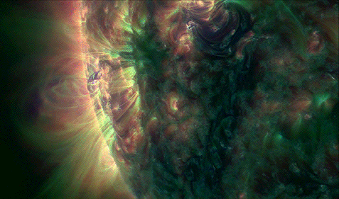 Neuron brain biology GIF on GIFER - by Nalas