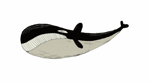 Whale illustration art GIF on GIFER - by Corne