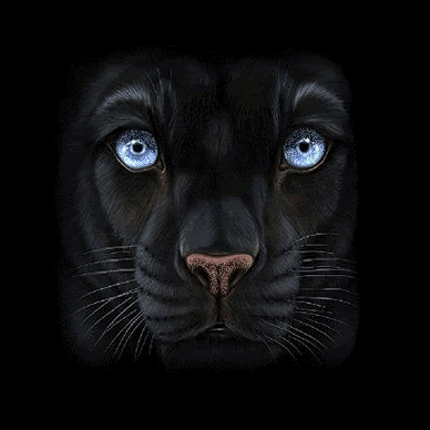 Wanted Curved Bullet Gif