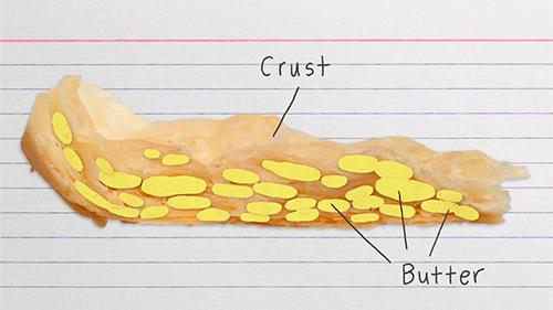 Pie chemistry butter GIF on GIFER - by Forceredeemer
