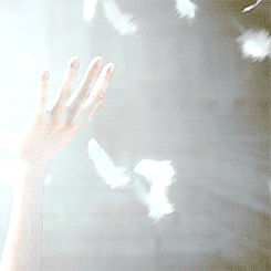 A study in pink GIF on GIFER - by Agamadar