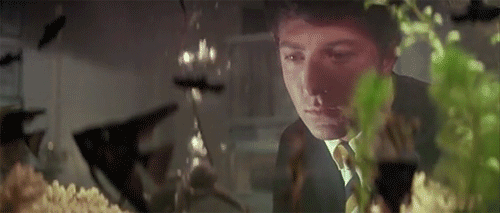 Film dustin hoffman the graduate GIF on GIFER - by Broadbringer
