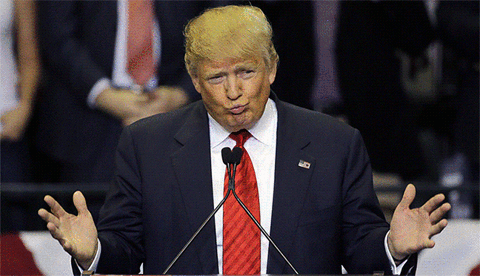 Debates donald trump shrug GIF on GIFER - by Gok