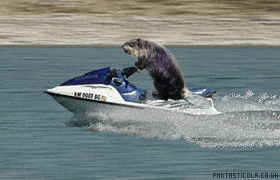 Jetski jet jet ski GIF on GIFER - by Bardin