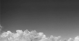 Gif De Reacción De Desmayo