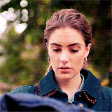 Cow poop GIF on GIFER - by Mubor