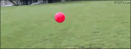 Flips GIF on GIFER - by Arardana