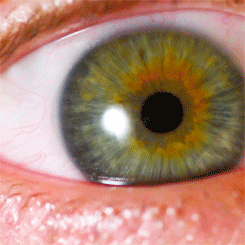 Youtube slow motion gavin free GIF on GIFER - by Faukus