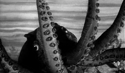 Jules verne octopus rhett hammersmith GIF on GIFER - by Conjudora