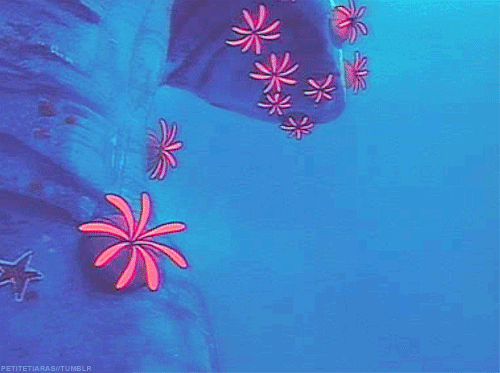 GIF ariel disney the little mermaid - animated GIF on GIFER - by Adrietius