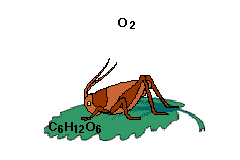 Biology GIF on GIFER - by Kazrajinn