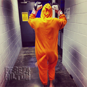 Boxing GIF on GIFER - by Anararius