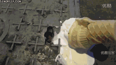 Animals ice cream hole GIF on GIFER - by Kagajind