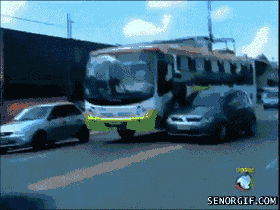 Bus wtf GIF on GIFER - by Hurus