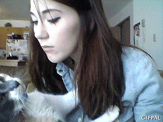 Rejection GIF on GIFER - by Malarne