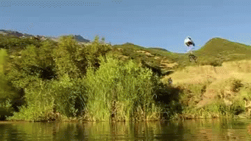 Flip GIF on GIFER - by Kazuru