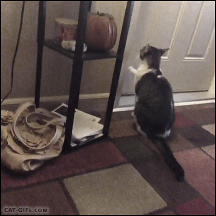 Perdu connaissance GIF sur GIFER - par Malune