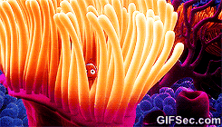 Finding nemo GIF on GIFER - by Tonris