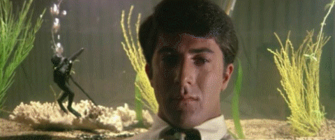 The graduate GIF on GIFER - by Dougal