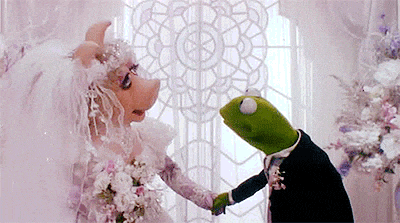 Married kermit kermit the frog GIF on GIFER - by Mightdragon