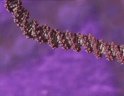 Biochemistry histone GIF on GIFER - by Sanris