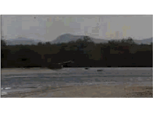 Airplane land GIF on GIFER - by Gagore