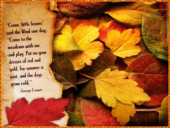 Autumn GIF on GIFER - by Cenadar