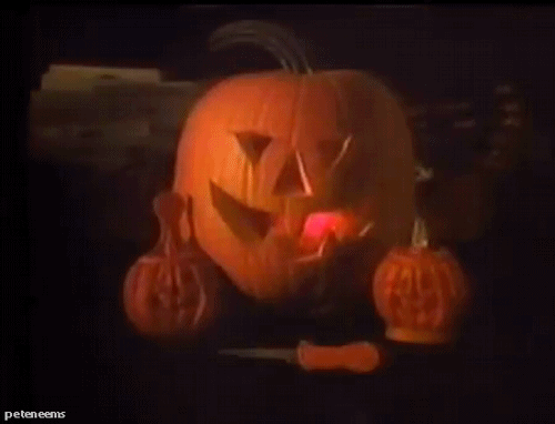Kürbis pumpkin kutter GIF auf GIFER - von Kagagul