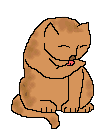Transparent sam cat GIF on GIFER - by Gorr