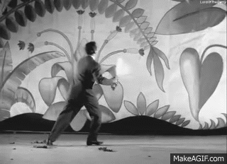 Crazy airplane pilot GIF on GIFER - by Mightbrand