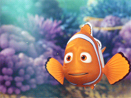Finding nemo finding dory GIF on GIFER - by Auri