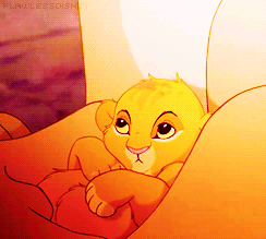 Gif Del Amanecer Del Rey León