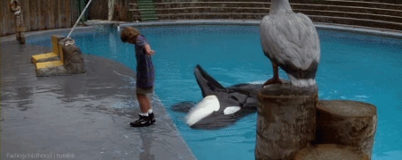 90s childhood movies free willy GIF on GIFER - by Conjughma